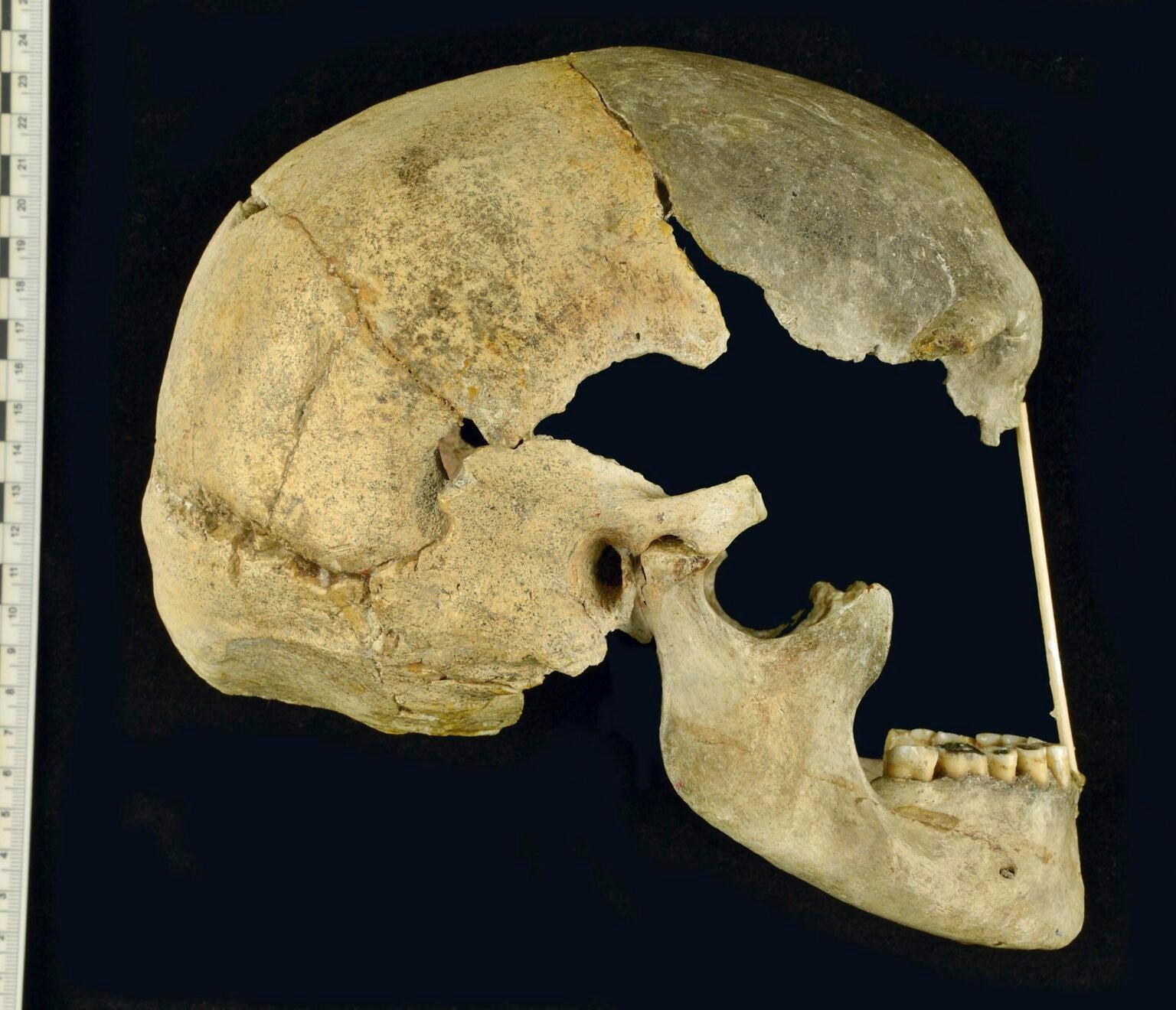 Ancient DNA Reveals Precise Timing of Neanderthal-Human Mixing