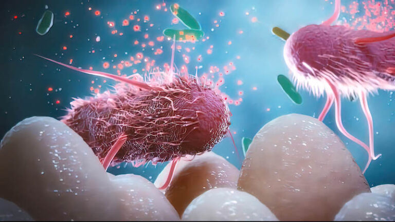 The Microbiome Revolution: How Gut Bacteria Control Your Health