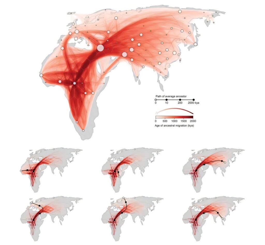 Mapping the "Movie" of Ancestry: New Genetic Method Reveals Dynamic Human History
