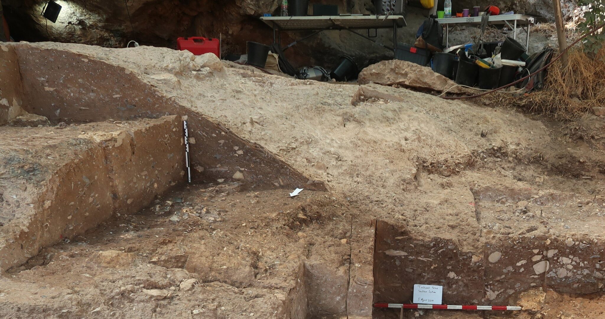 The Cave That Changed Everything: Unveiling the Shared World of Early ...