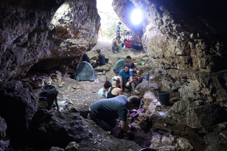 The Cave That Changed Everything: Unveiling the Shared World of Early ...