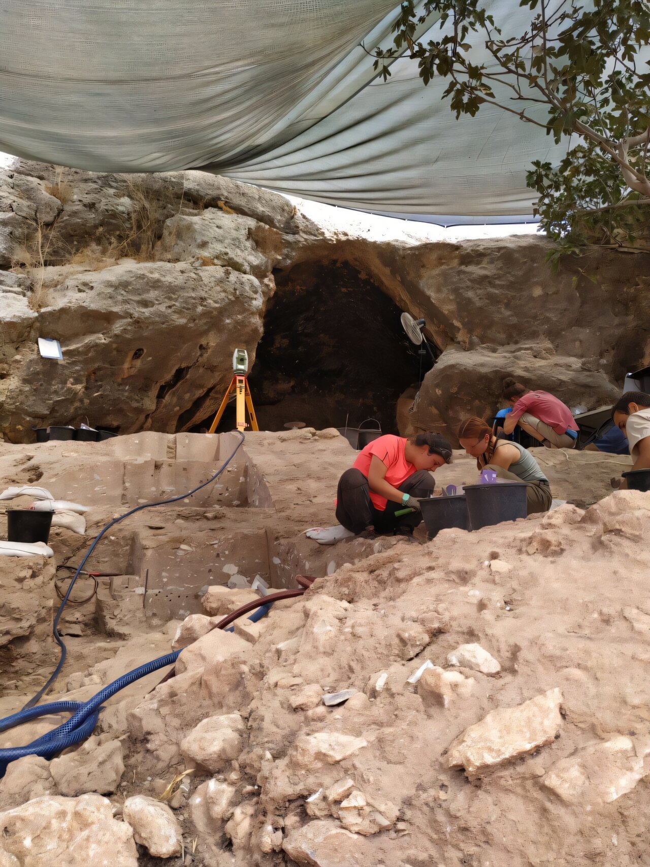 The Cave That Changed Everything: Unveiling the Shared World of Early ...