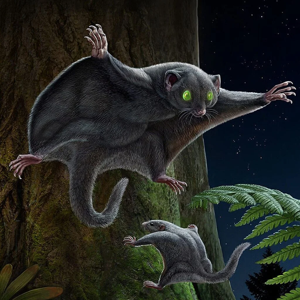 The Ancient Cloak of Darkness: How Fossilized Fur Reveals the True ...