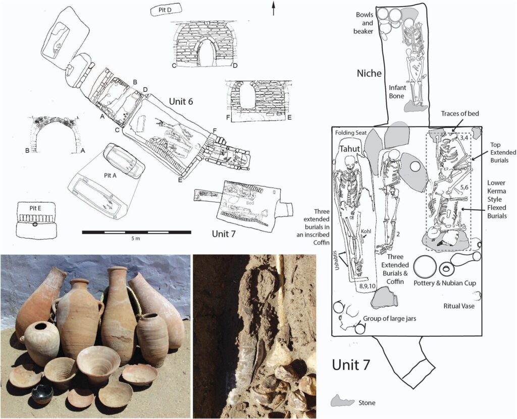 Skeletal Analysis at Tombos Unveils a More Complex Social Hierarchy in ...
