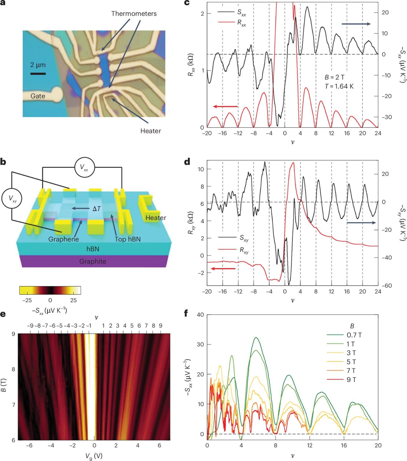 New Method Using Thermopower Detects Fragile Fractional Quantum Hall States