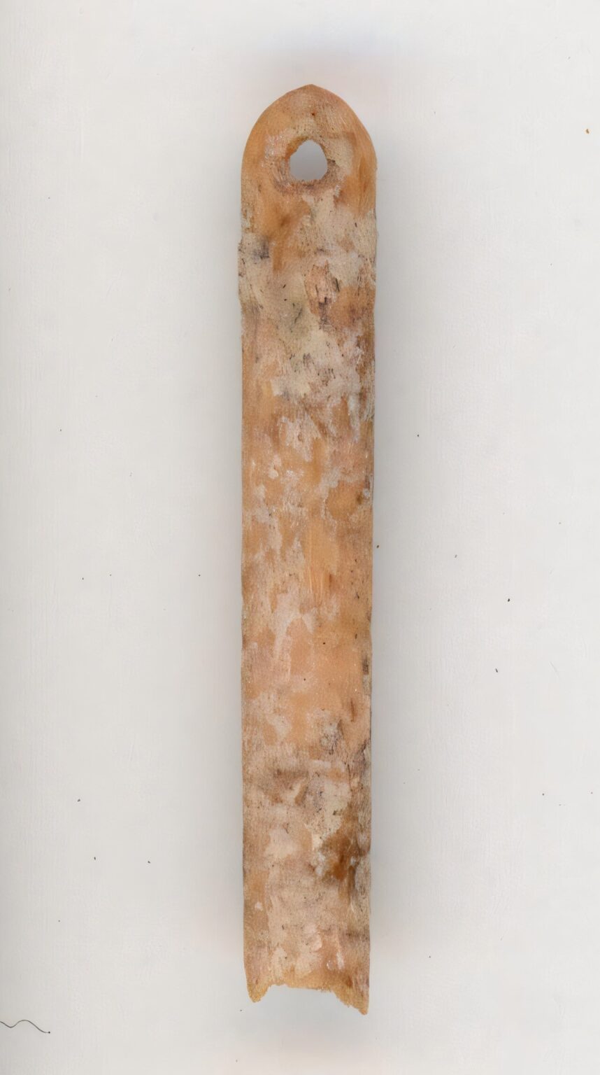 Wyoming Site Reveals Ancient Bone Needles, Oldest Bead in Americas