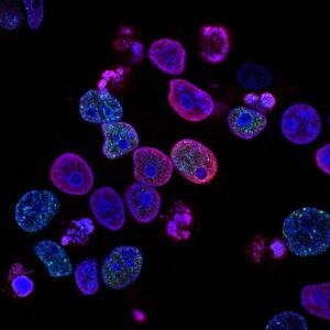 The Secret Lives of Cells: Understanding Their Complex Behaviors