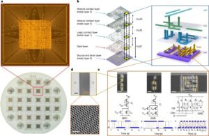 Engineers Design Revolutionary 32-Bit RISC-V Microprocessor with ...