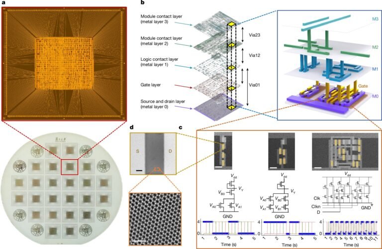 Engineers Design Revolutionary 32-Bit RISC-V Microprocessor with ...