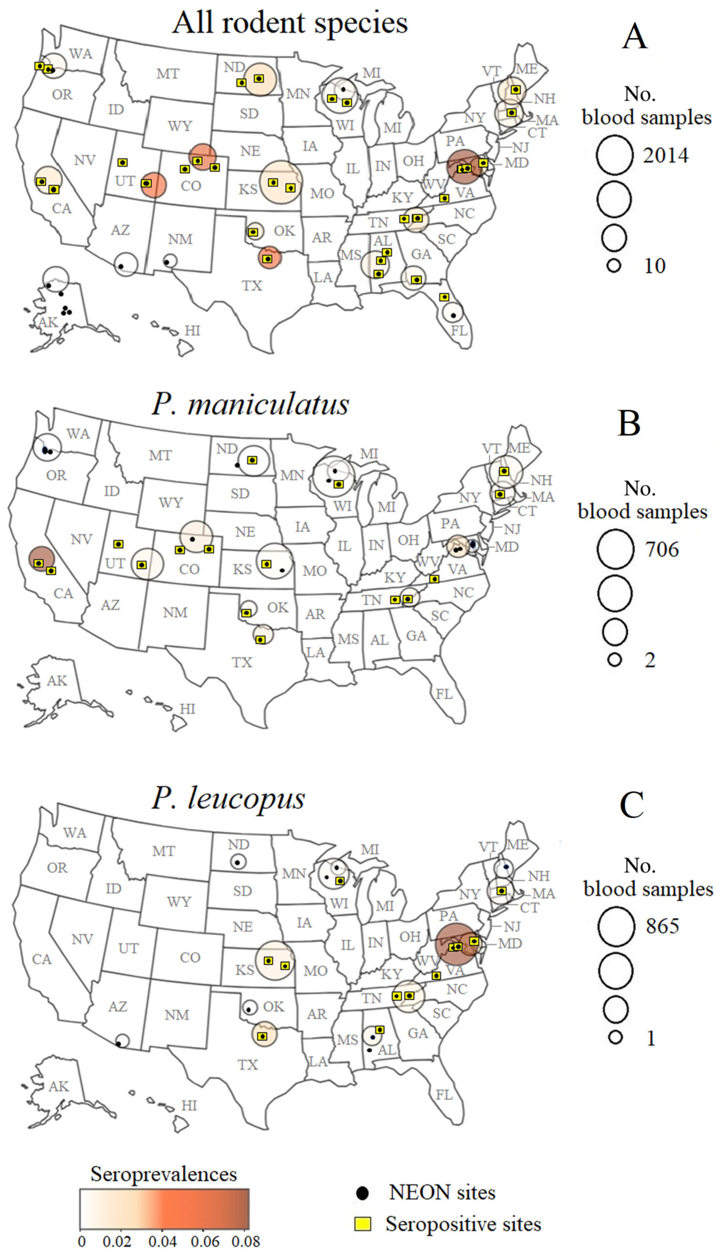 The Silent Killer: Hantavirus's Hidden Epidemic and the Climate Connection