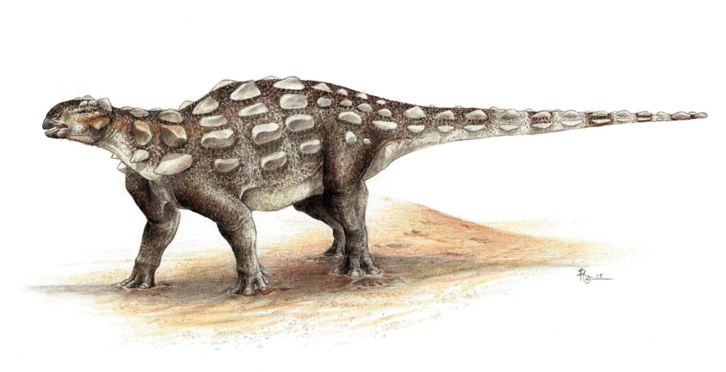 The Lost Giant with a Mace: Uncovering Ruopodosaurus clava in the ...