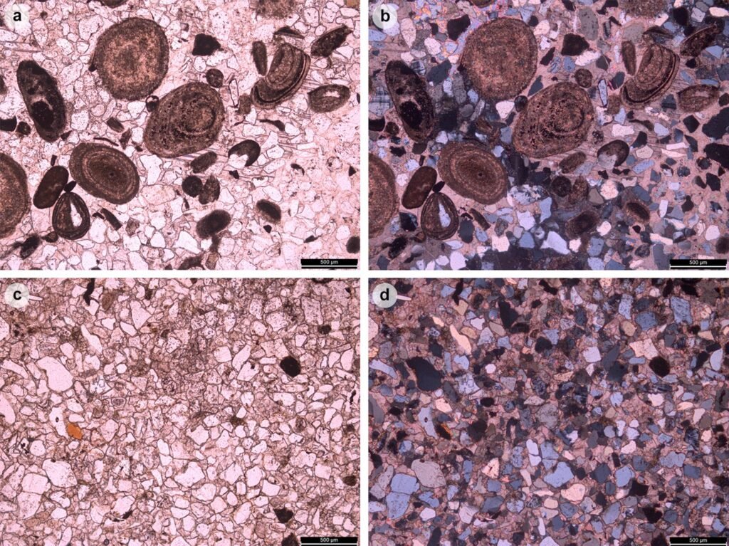 Isle of Skye Reveals 167-Million-Year-Old Dinosaur Footprints