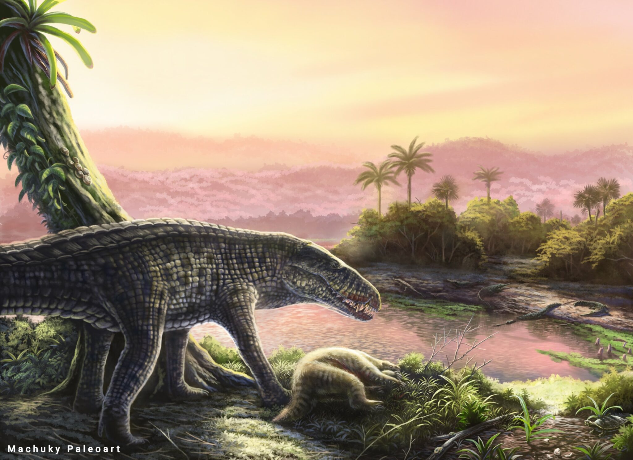 Fossil Discovery Reveals Caribbean Was Once Home to Land-Dwelling ...