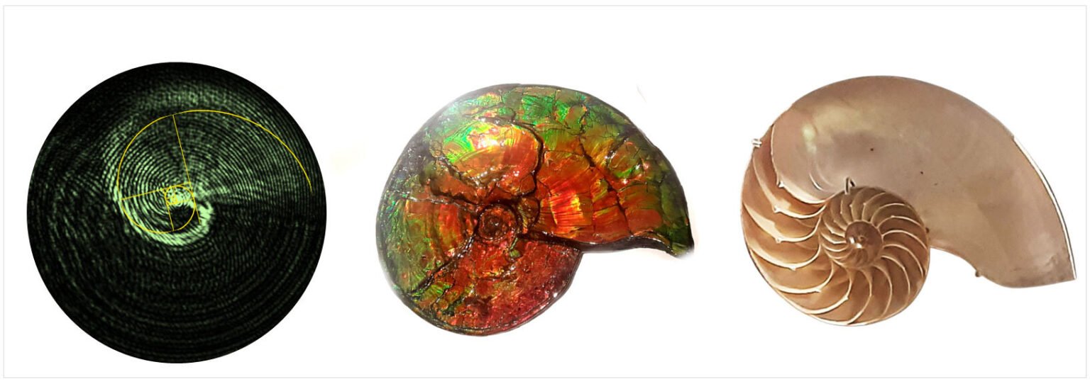 Researchers Discover Light That Twists Like Nature's Spirals