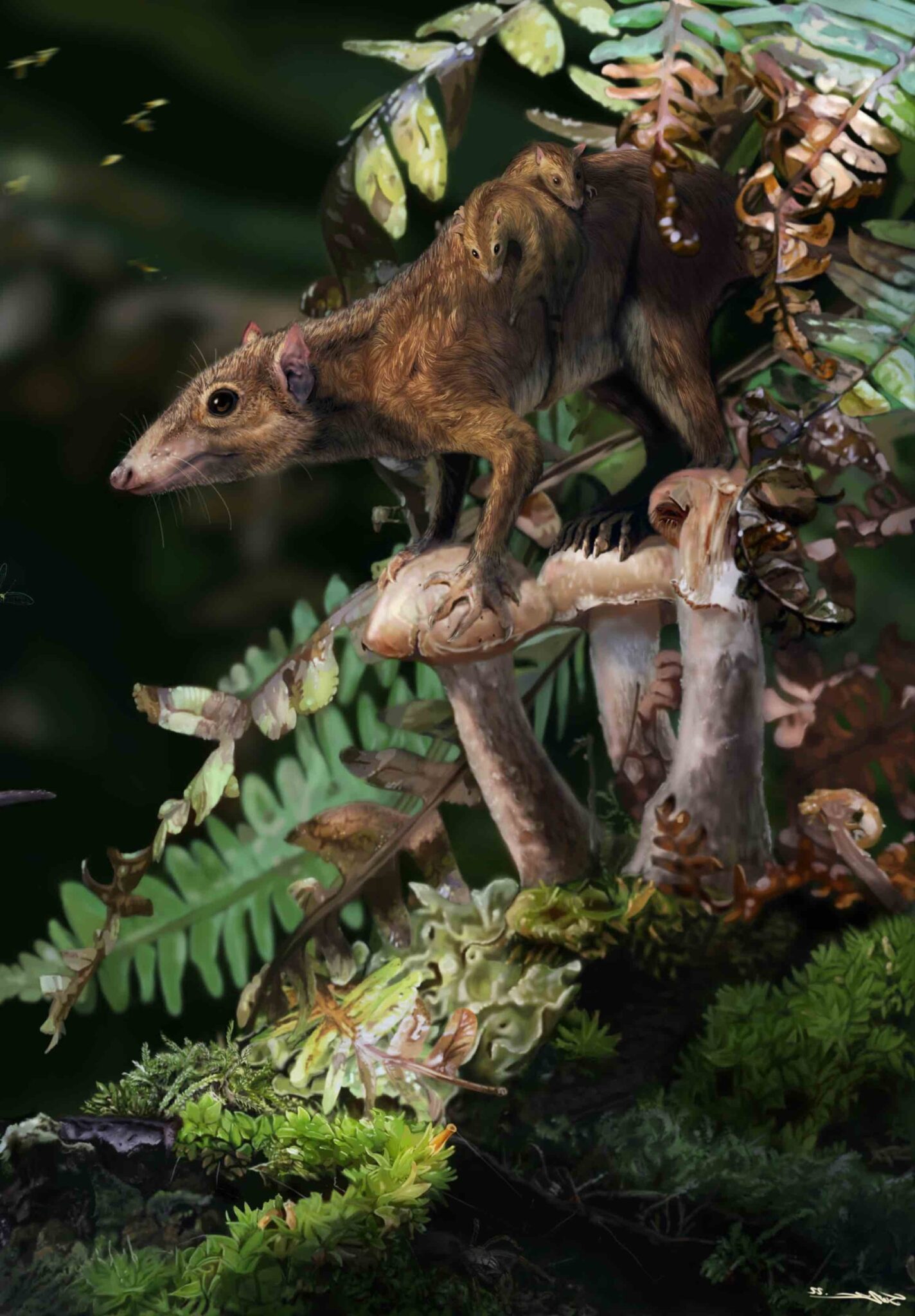 Mammals Were Terrestrial Before the Asteroid, New Study Reveals