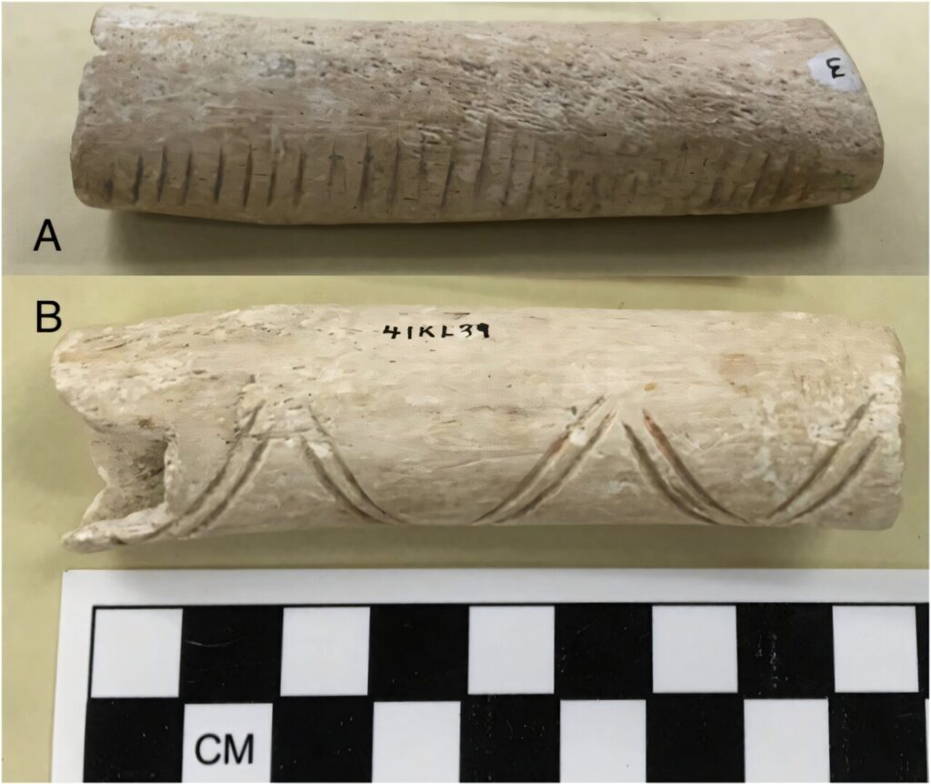 Ancient Bones Reveal Rituals of Prehistoric South Texas Peoples