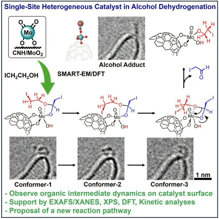Scientists Capture Catalysis in Action at the Atomic Scale for the ...