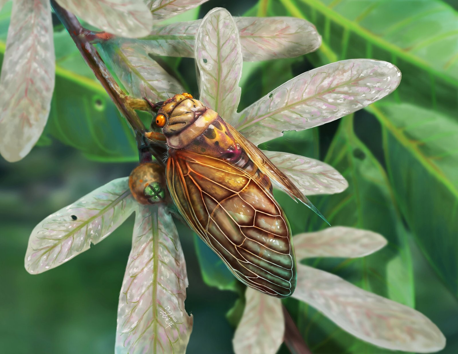 47-Million-Year-Old Cicada Fossil Found in Messel Pit