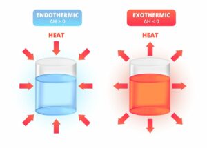 Understanding Endothermic and Exothermic Reactions