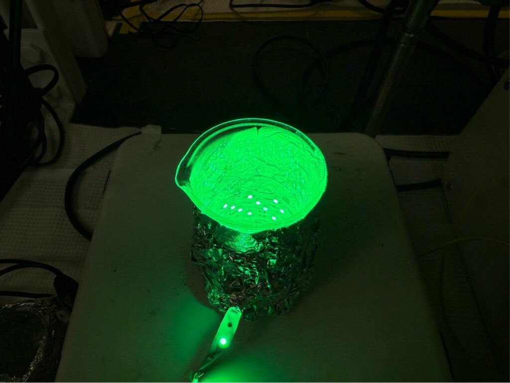 Life Without Life: Scientists Build Self-Reproducing Synthetic Cells ...