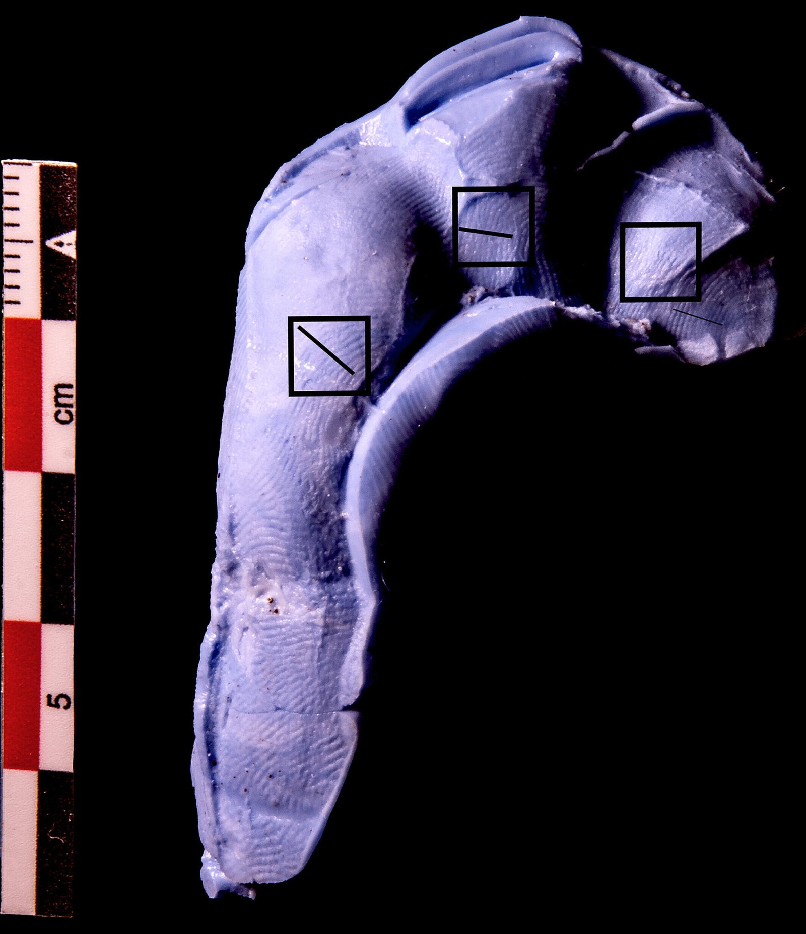 Ancient Fingerprints and the Hidden Lives of Terracotta Figurine-Makers