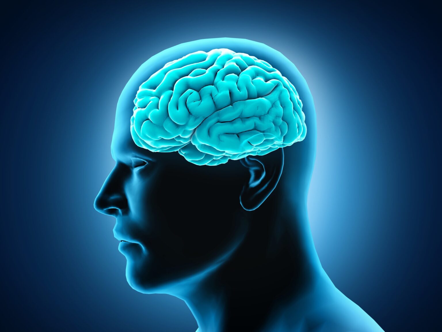 Is Your Diet Fueling Parkinson’s? New Study Links Processed Foods to ...