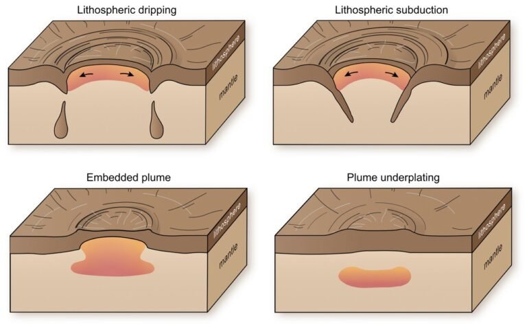 Ongoing Tectonic Activity on Venus Revealed Through Mysterious Coronae