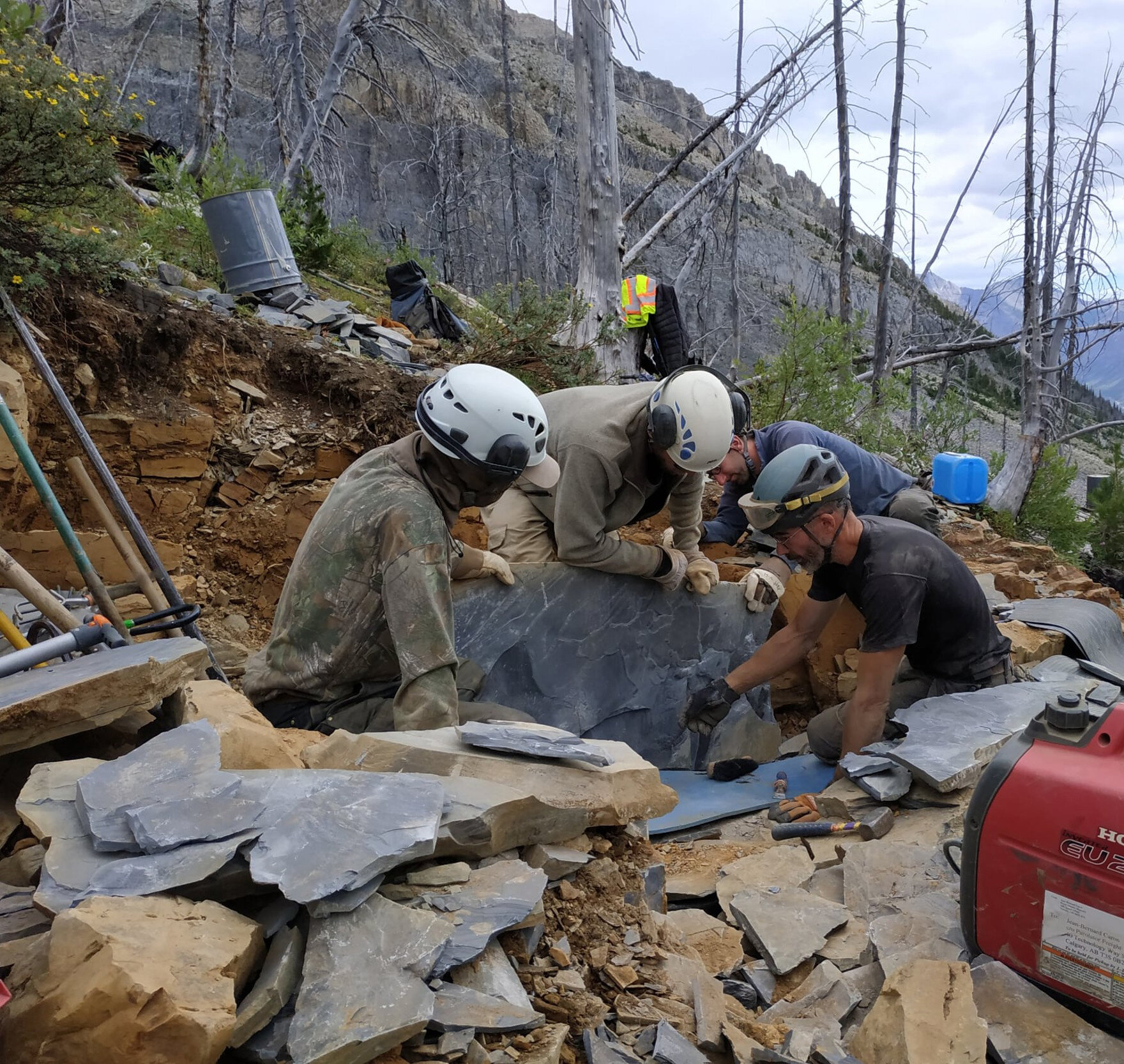Paleontologists Discover 506-Million-Year-Old Predator in Burgess Shale