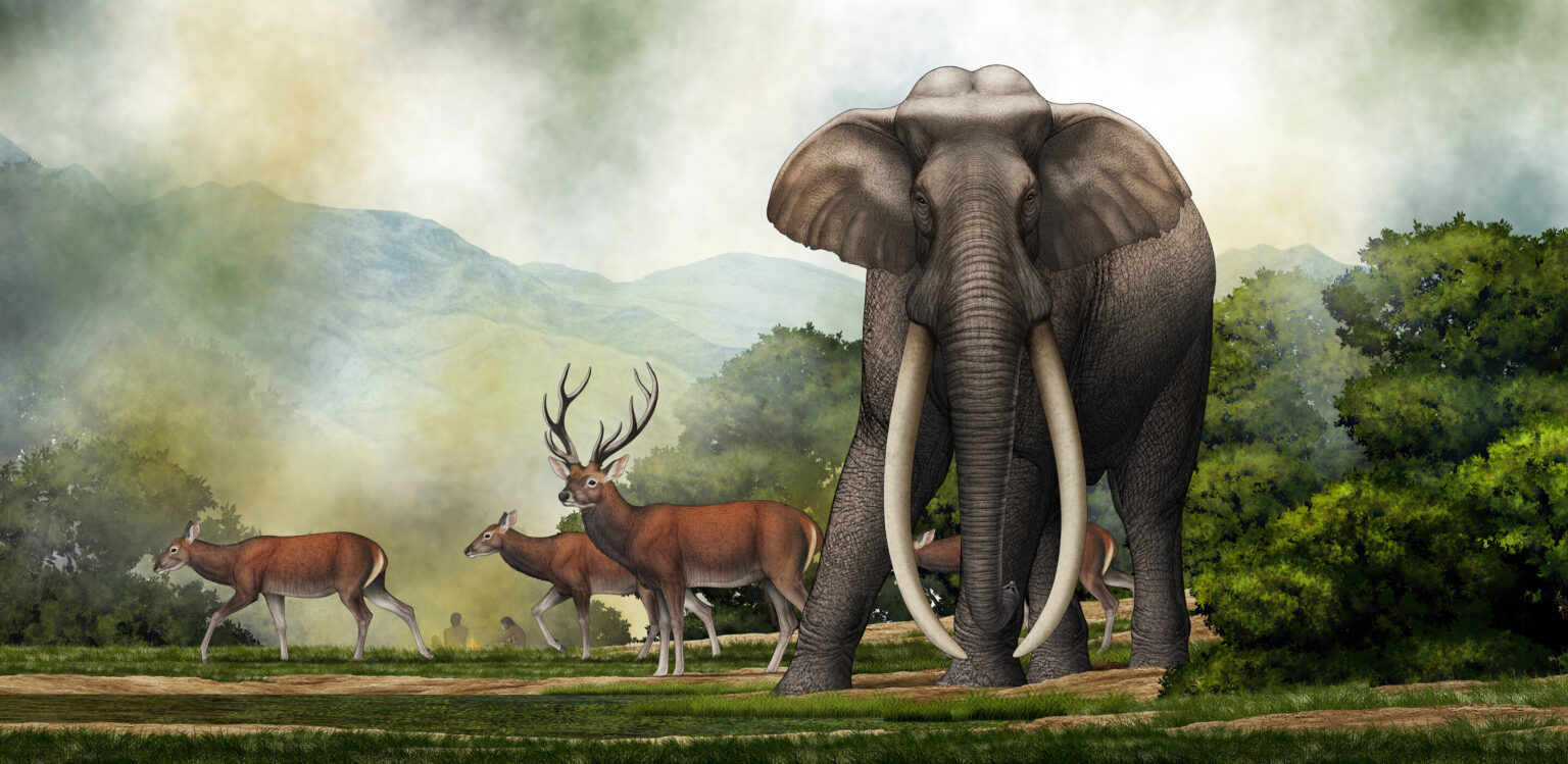 The Ancient Elephant Hunters of Kashmir Valley