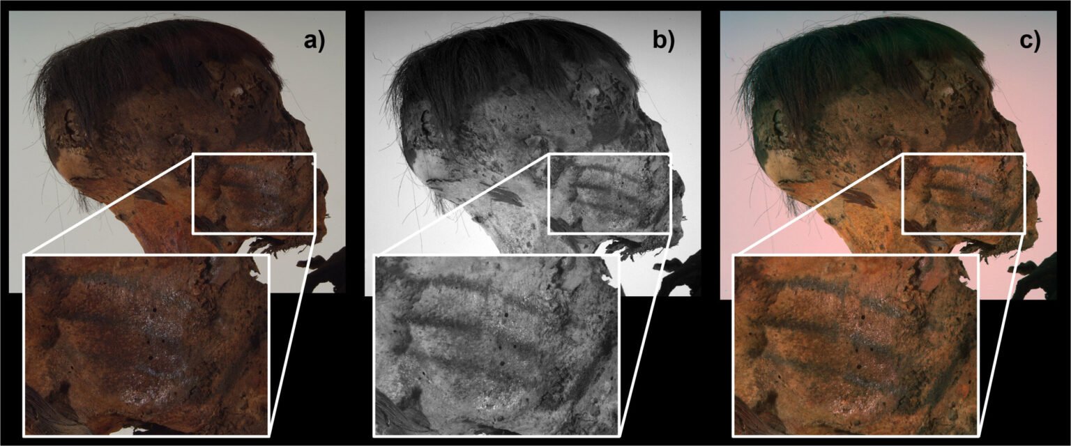 The Mysterious Facial Tattoos of an 800-Year-Old Andean Mummy