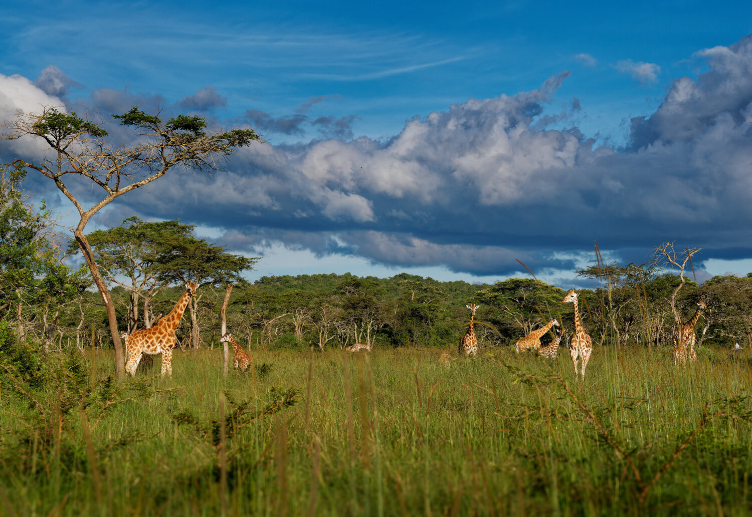 How Early Humans Learned to Survive Anywhere Before Leaving Africa