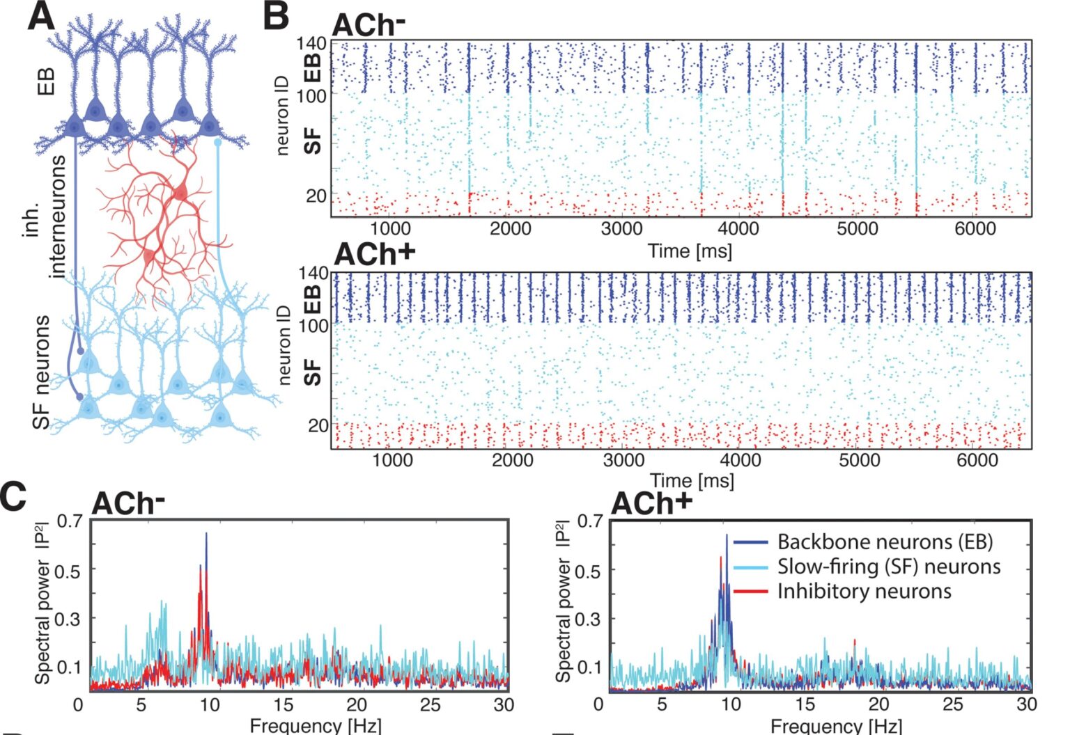 Your Brain Is Gardening While You Sleep and Pruning Your Memories