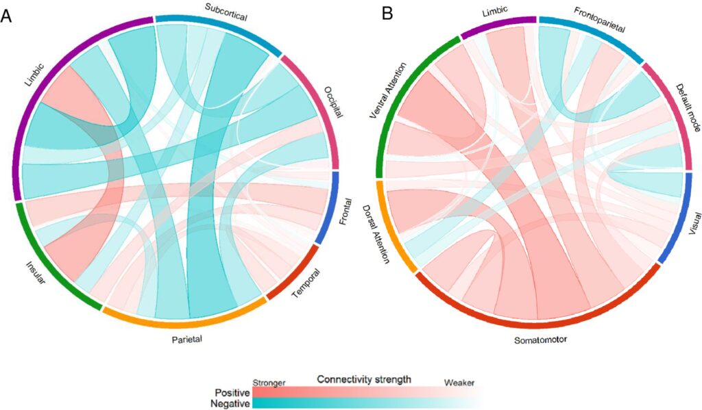 Study Shows How the Aging Brain Undermines Social Engagement Over Time