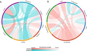 Study Shows How the Aging Brain Undermines Social Engagement Over Time