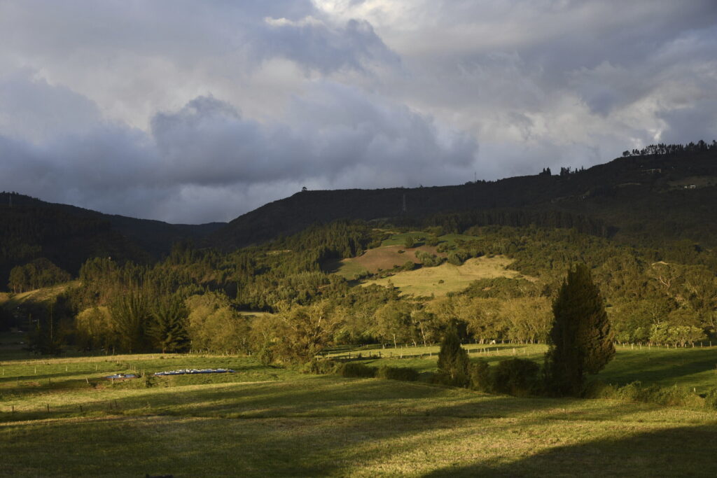 Lost Ancestors of the Americas: Ancient DNA Reveals a Forgotten Human ...