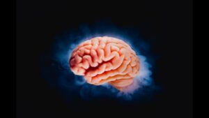 How the Brain Processes Guilt and Shame