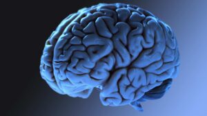 Scientists Discover Porn Can Alter Brain Function and Emotion