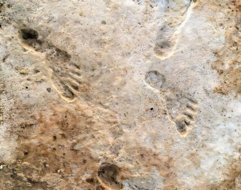 Scientists Uncover 23,000-Year-Old Human Footprints in the American Southwest