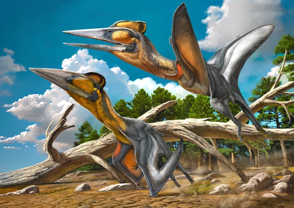 New Pterosaur Species Discovered in Japan’s Late Cretaceous Skies
