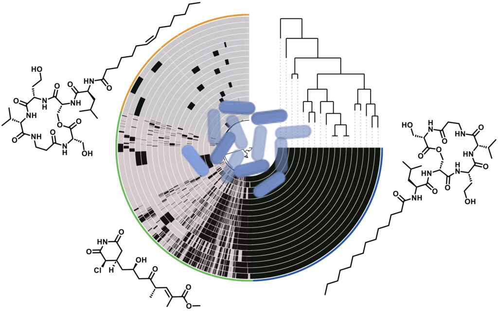 The Plant-Killing Bacterium That Could Help Cure Disease