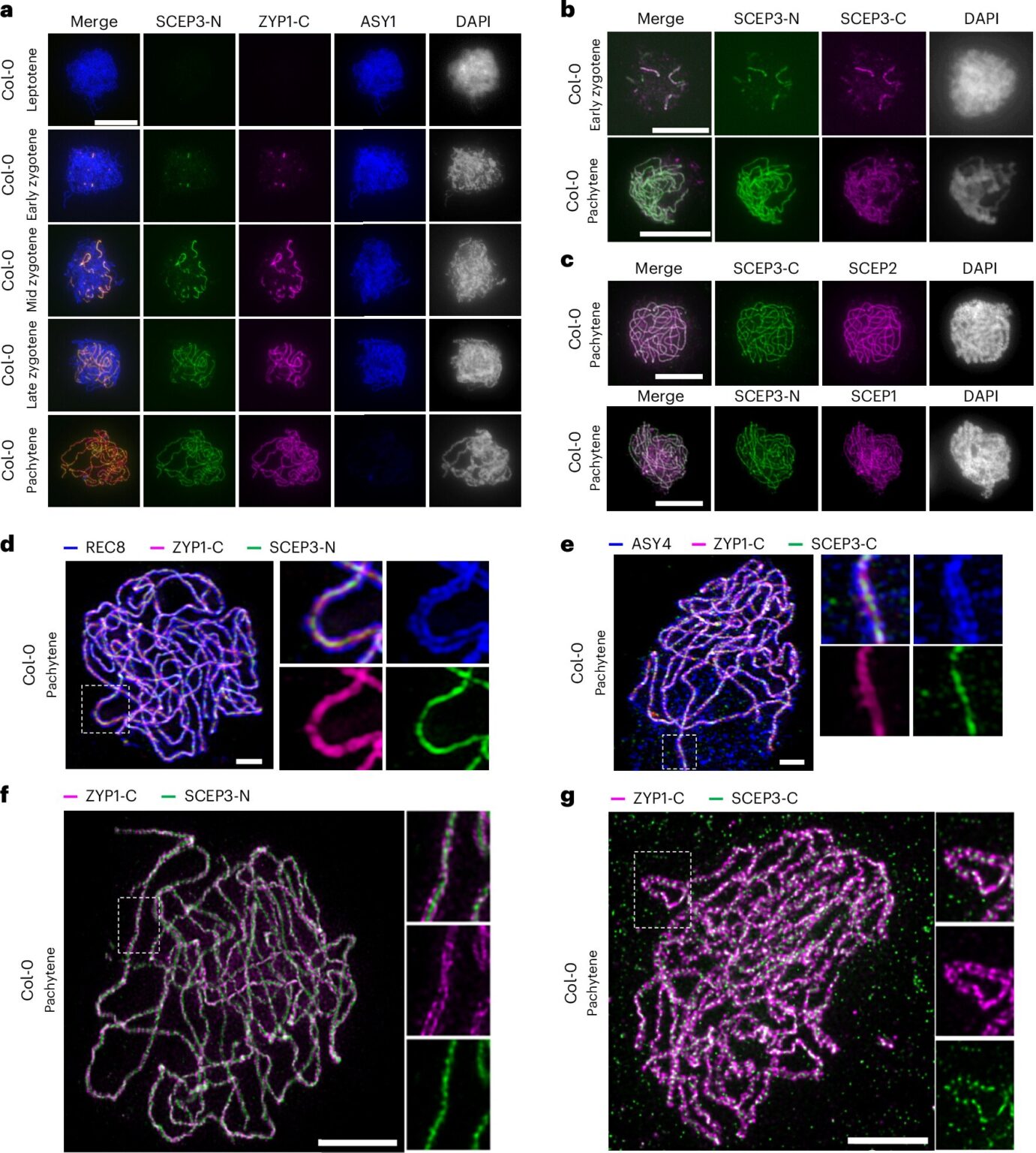 How Antibiotics Work to Kill Bacteria