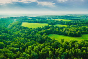 How Earth’s Ecosystems Evolved Over Millions of Years