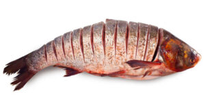 New Study Reveals Hidden Pain of Fish During Slaughter and Offers Solutions