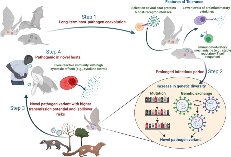 The Evolution of Disease: How Pathogens Adapt Over Time