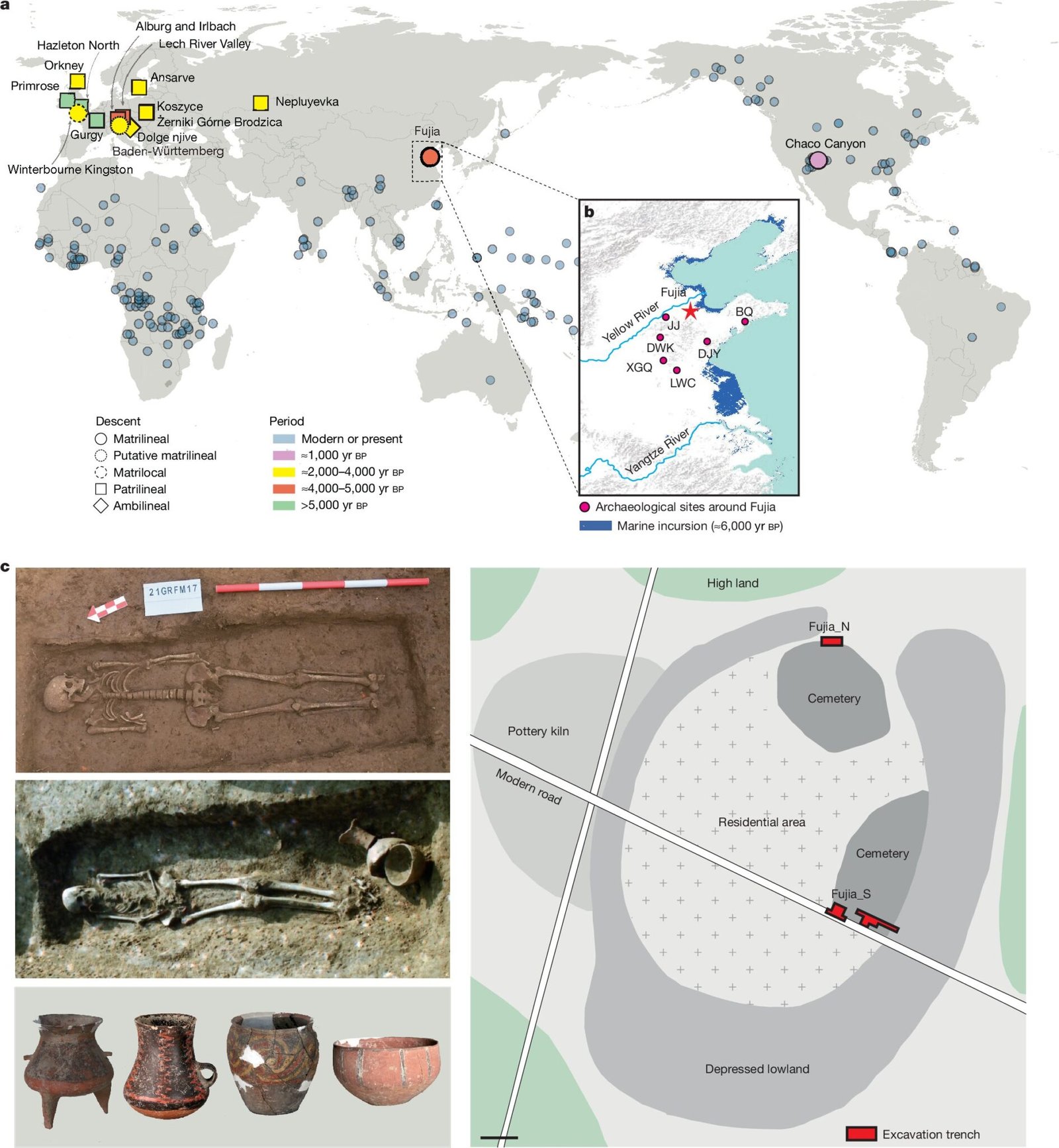 DNA Reveals 4,500-Year-Old Matrilineal Society in Neolithic China