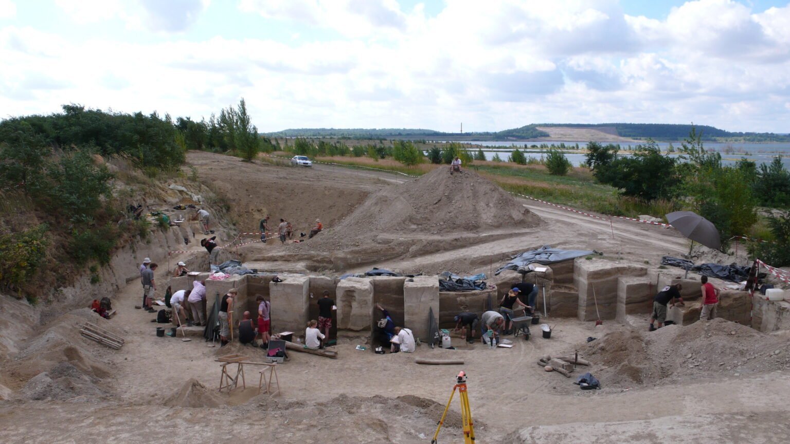 Neanderthals Had a Secret Fat Factory That Helped Them Survive the Ice Age