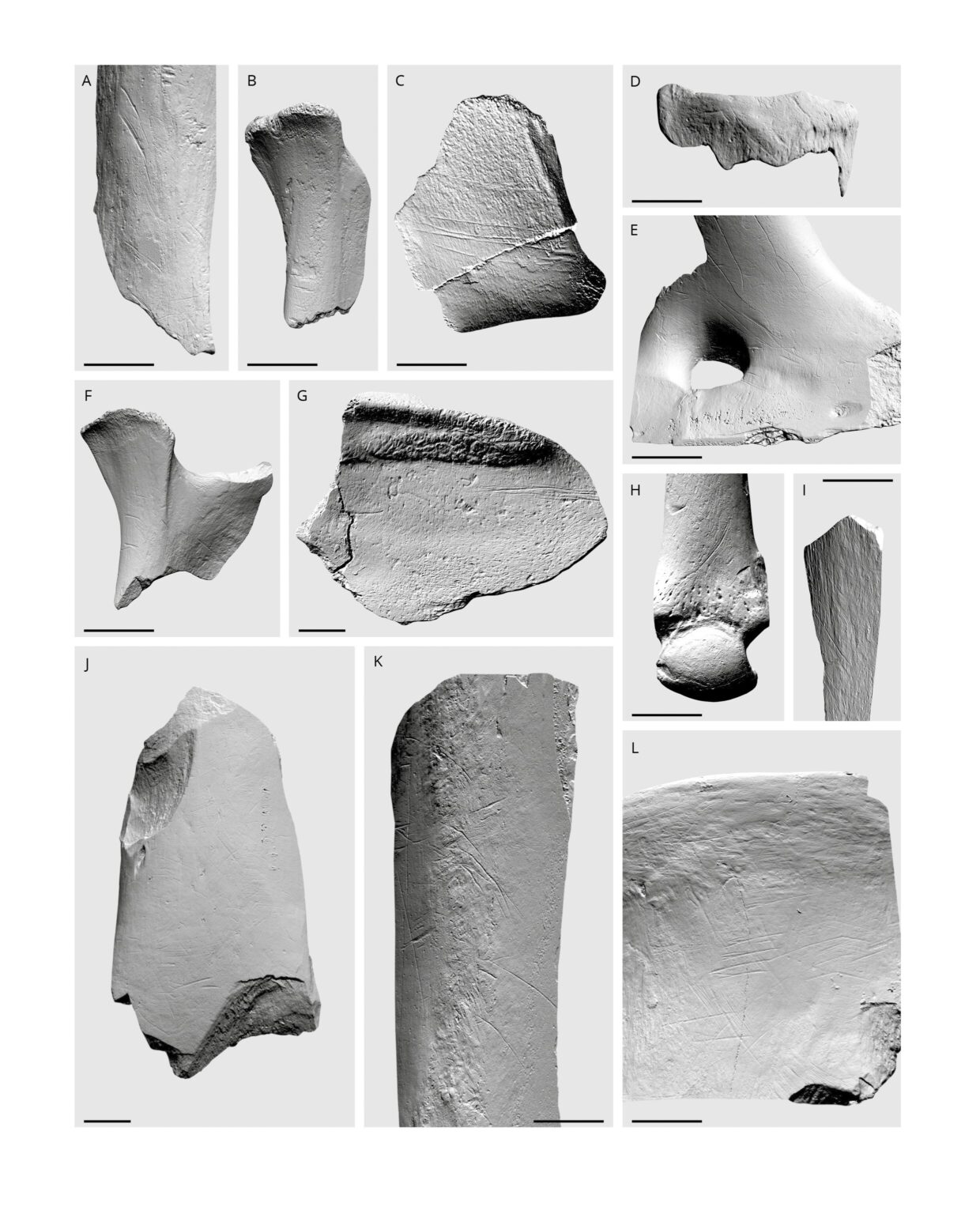 Neanderthals Had a Secret Fat Factory That Helped Them Survive the Ice Age