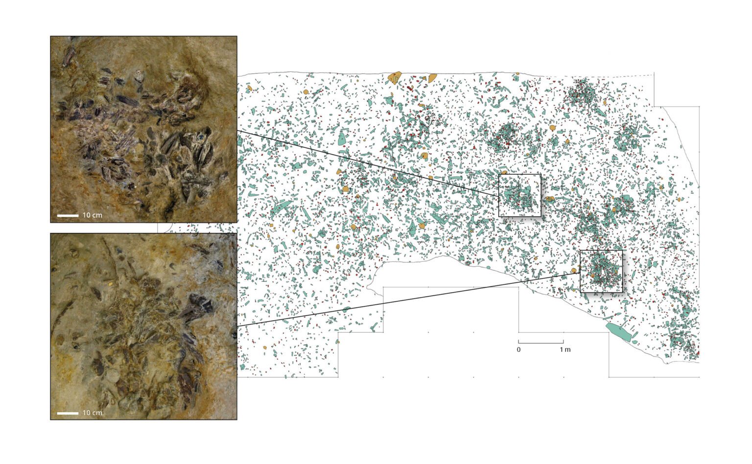 Neanderthals Had a Secret Fat Factory That Helped Them Survive the Ice Age