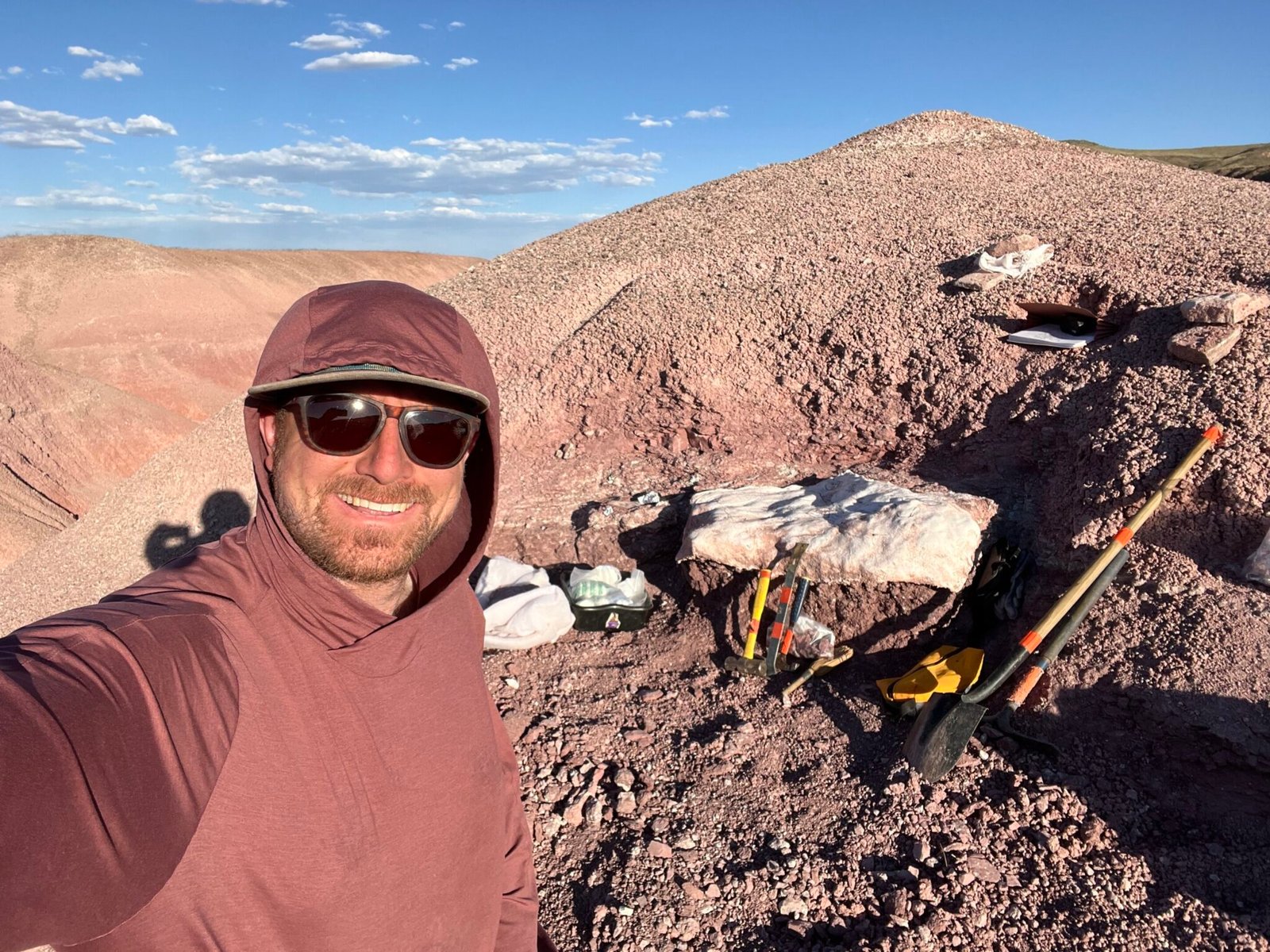 The Tiny Ash-Winged Dinosaur Cousin That Took Flight 209 Million Years Ago