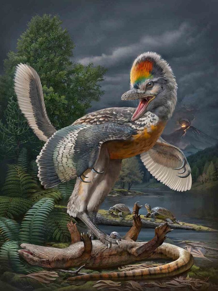 Wings of Wonder: The Fascinating Evolution of Flight in Animals
